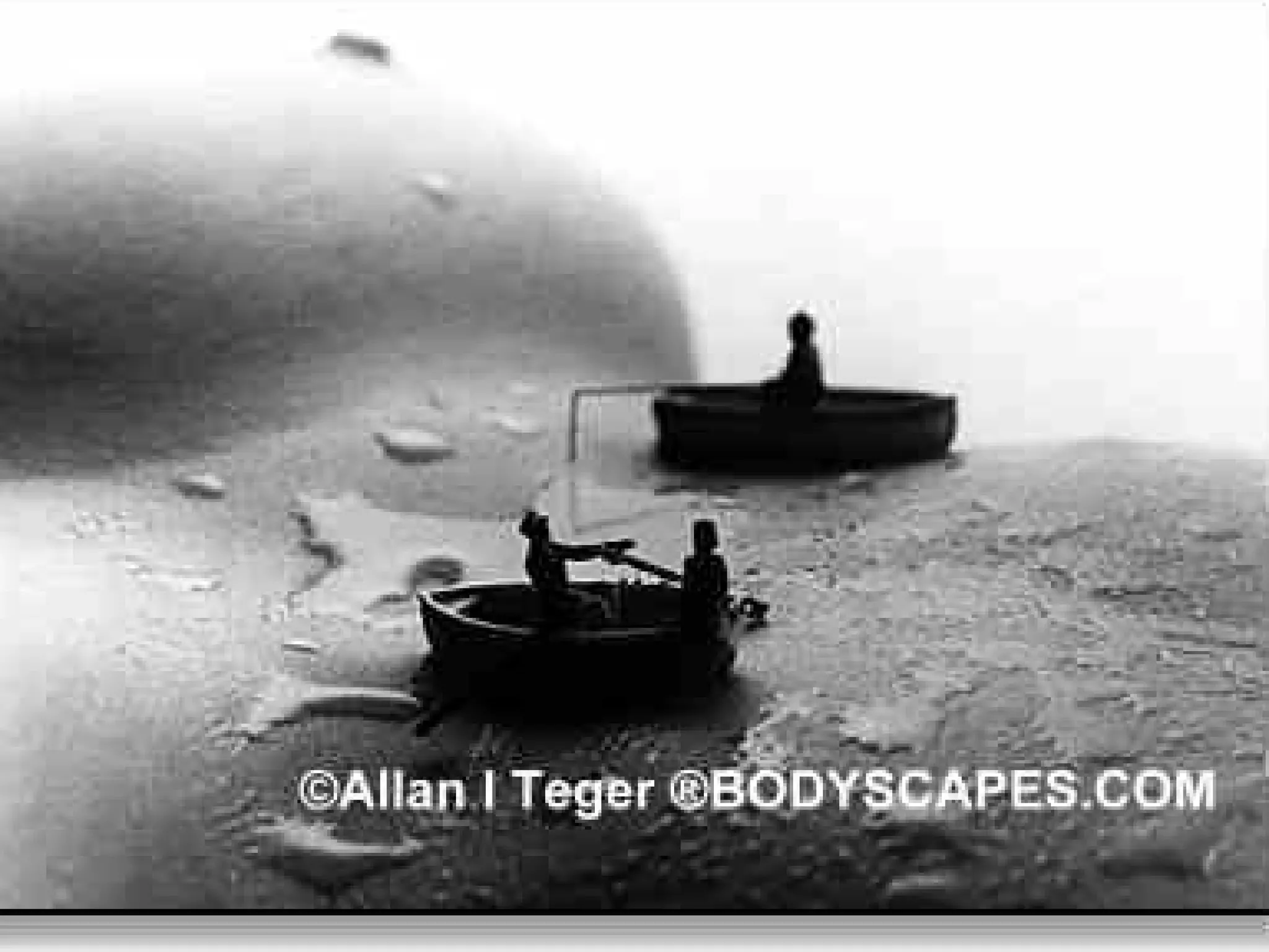 Body scapes | PPS