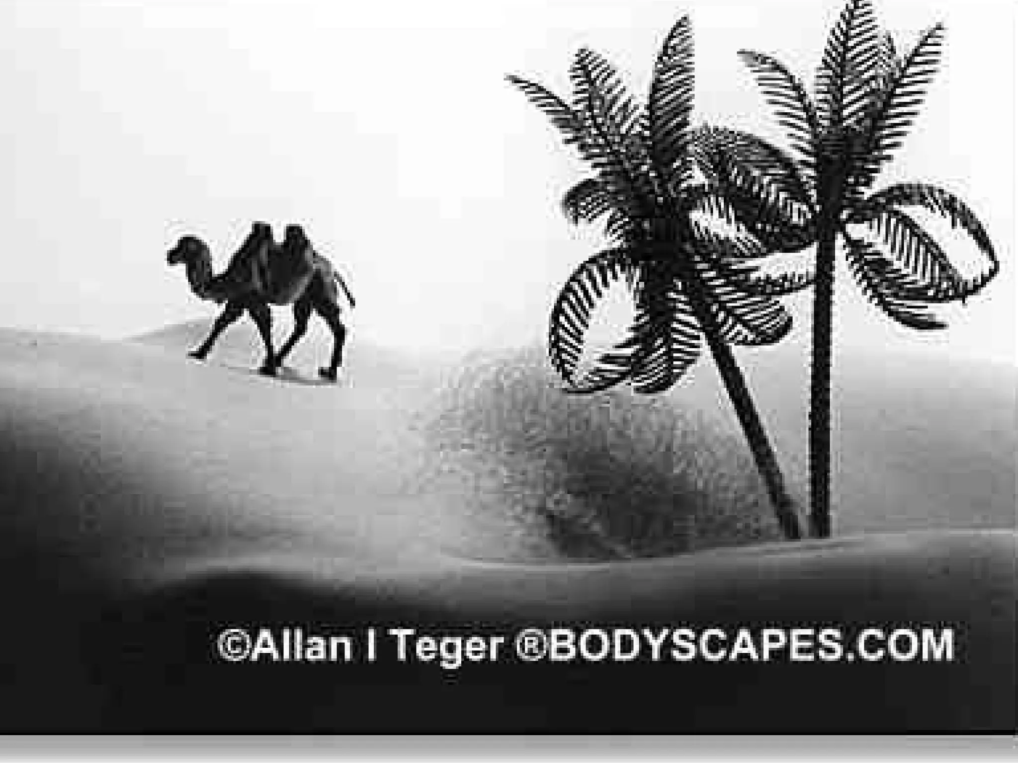 Body scapes | PPT