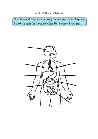 Human body (bones, muscles, joints, internal organs) | PDF