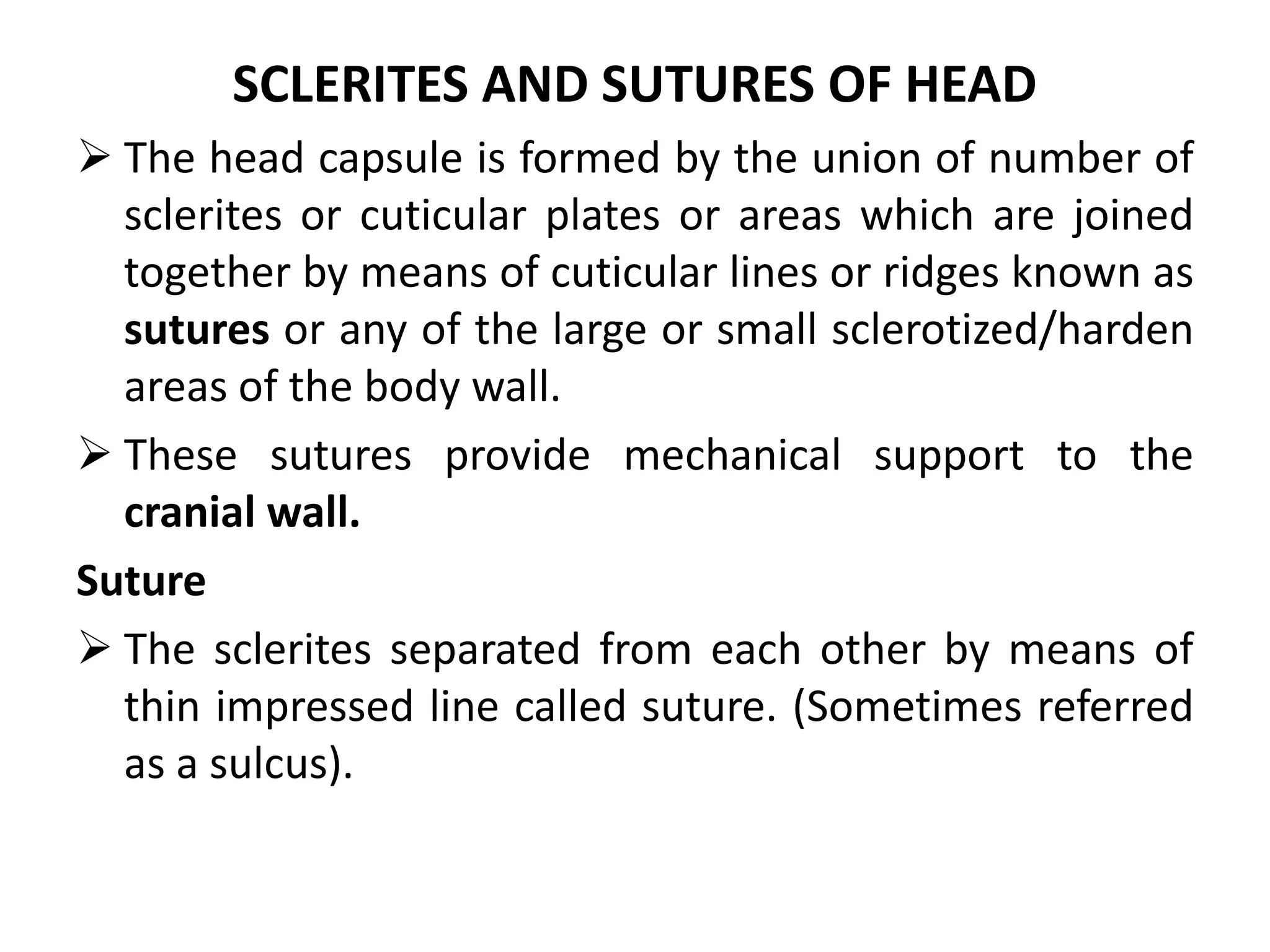 Body Segmentation of Insect and Head .pptx