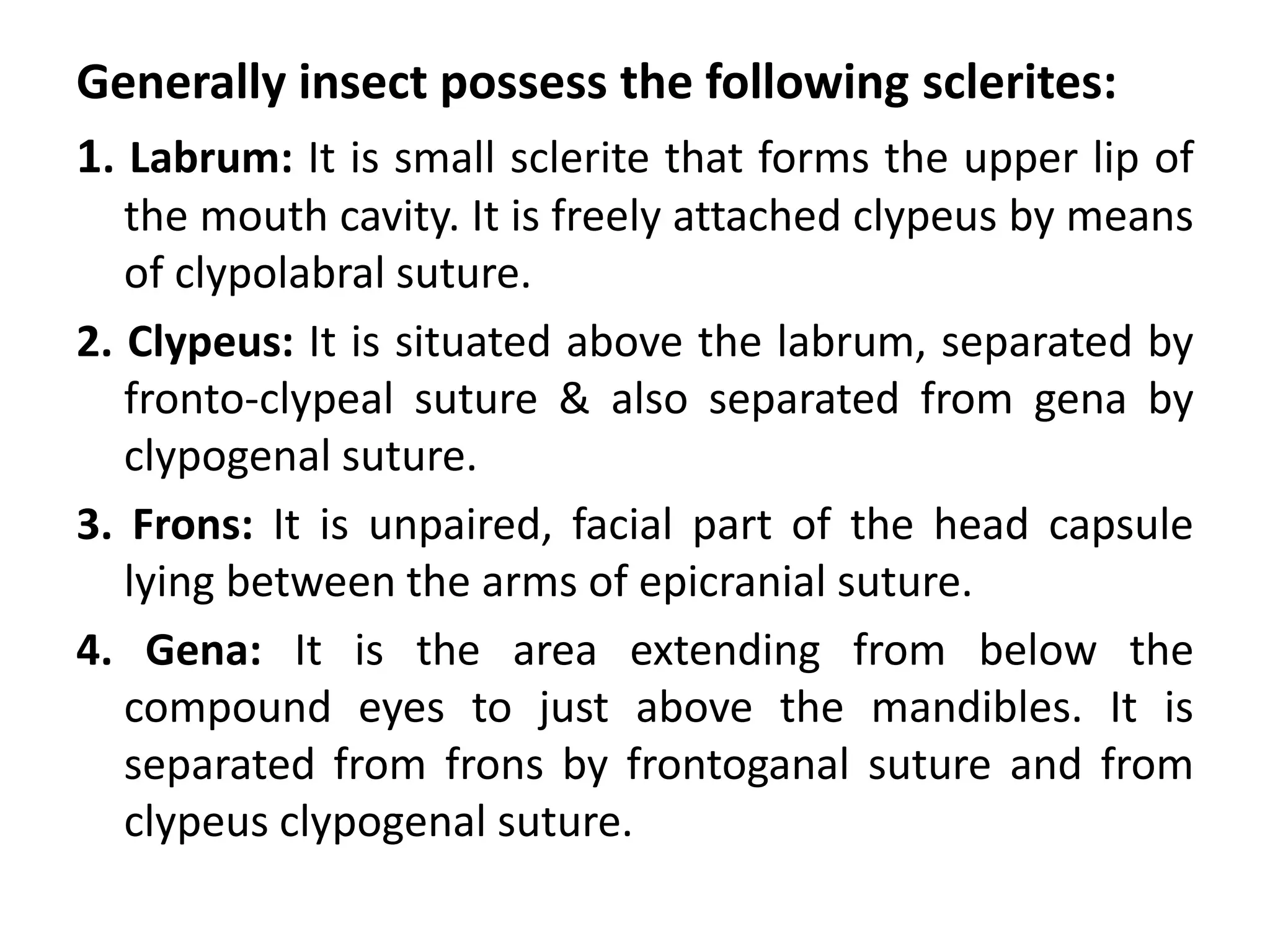 Body Segmentation of Insect and Head .pptx