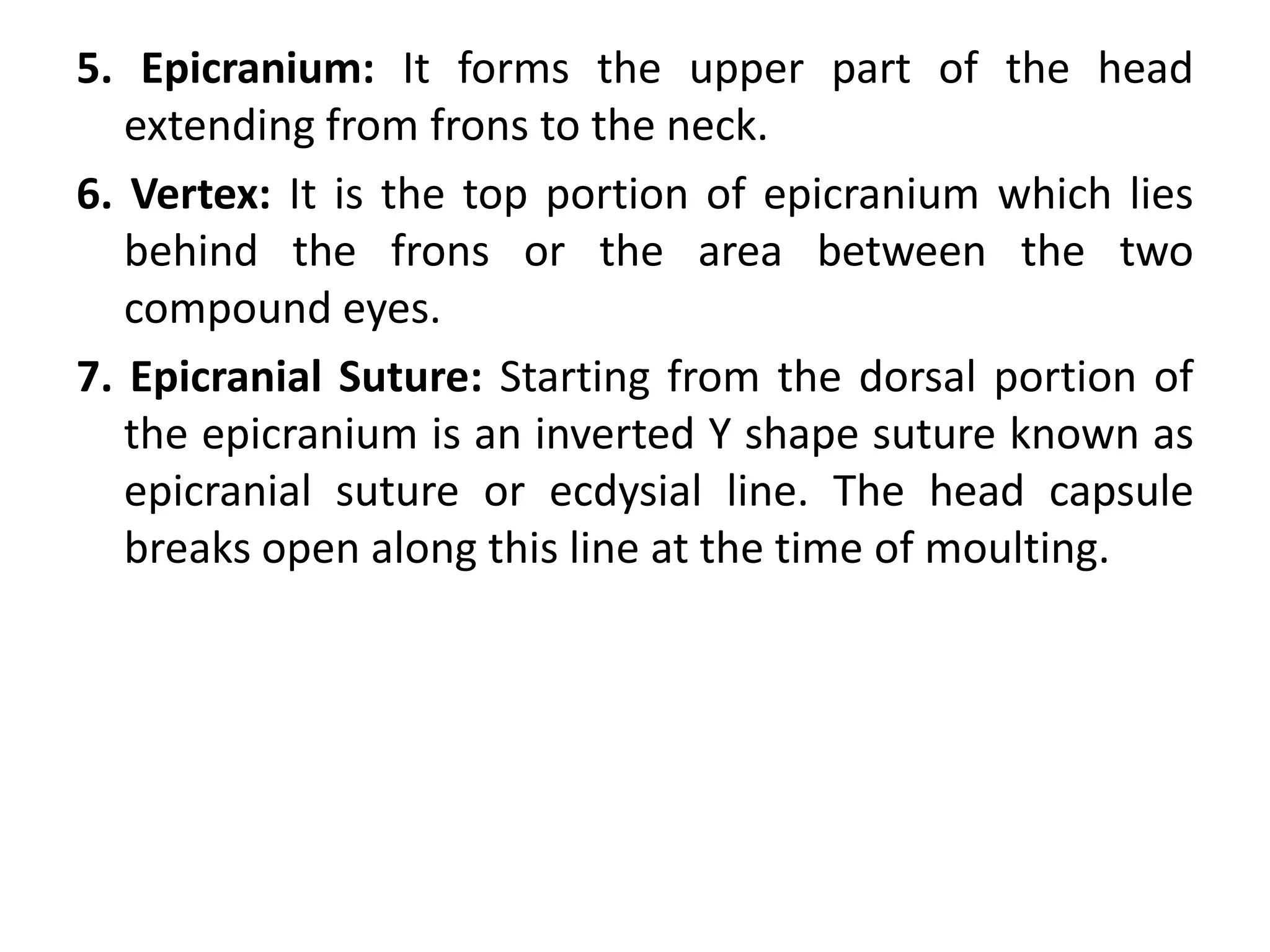 Body Segmentation of Insect and Head .pptx