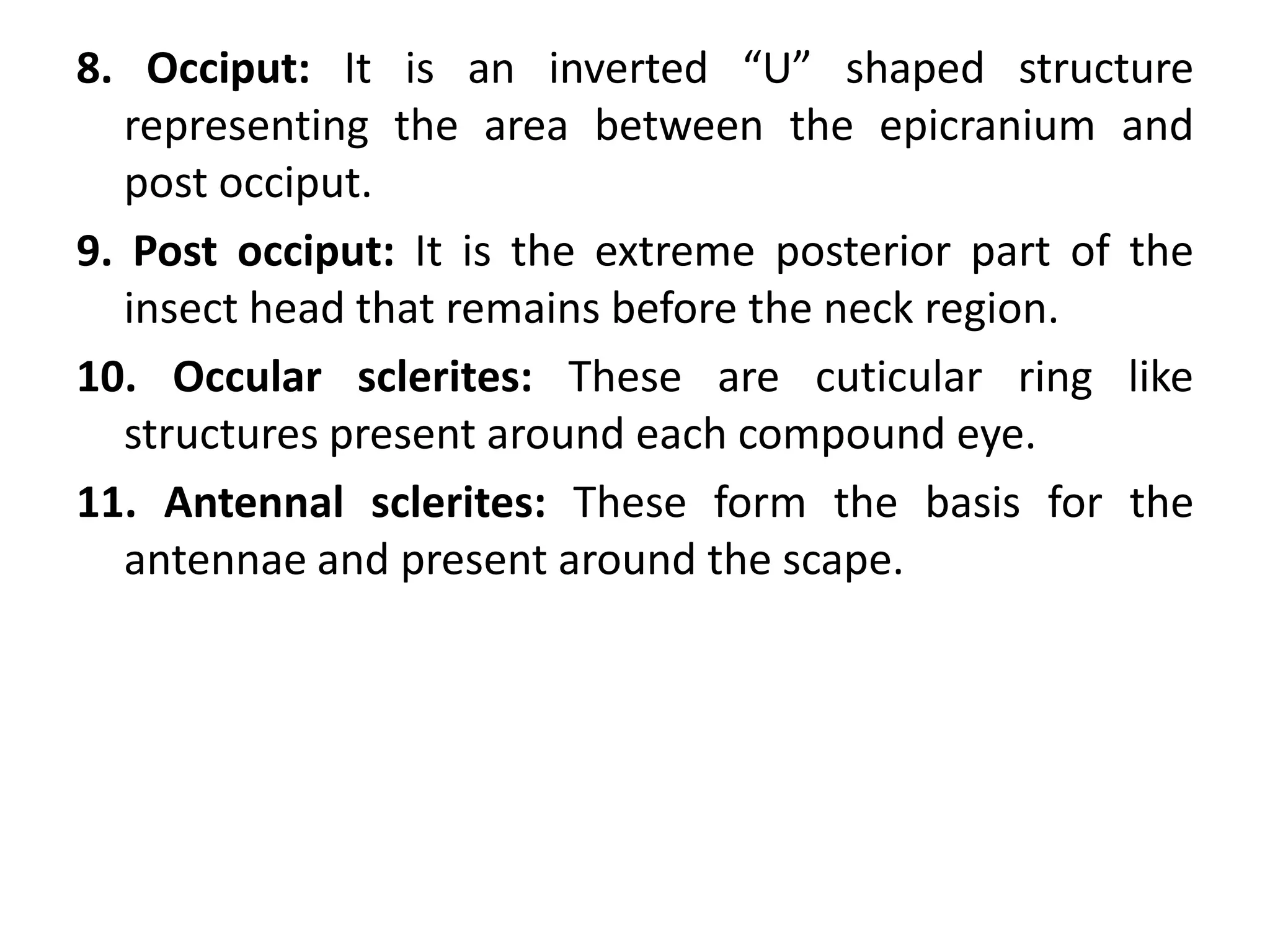 Body Segmentation of Insect and Head .pptx