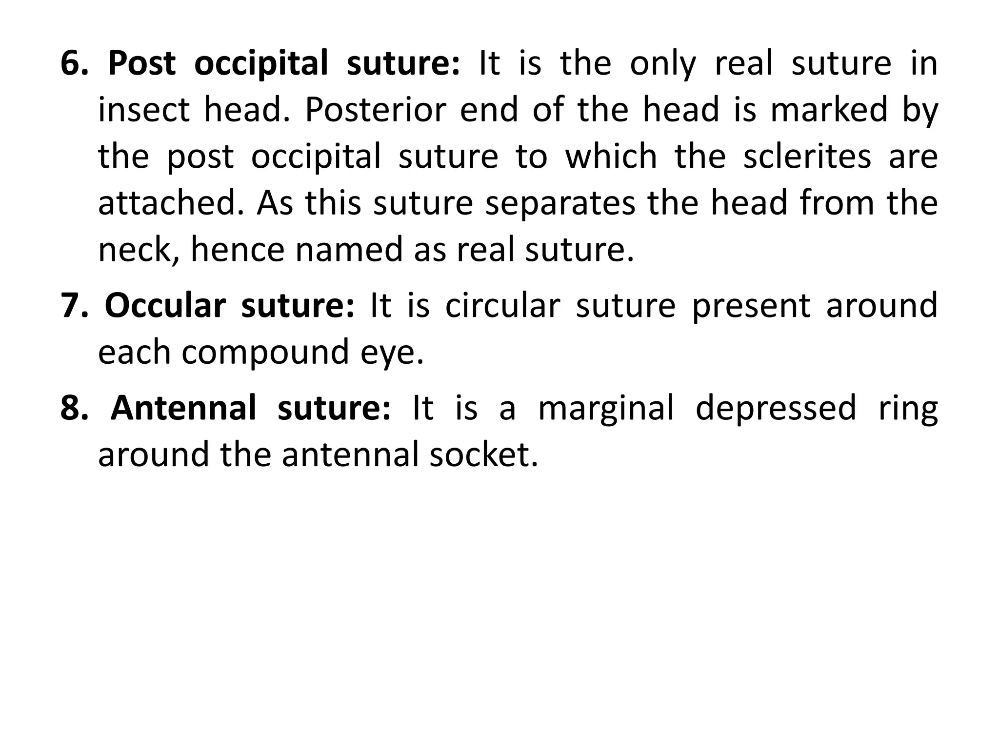 Body Segmentation of Insect and Head .pptx