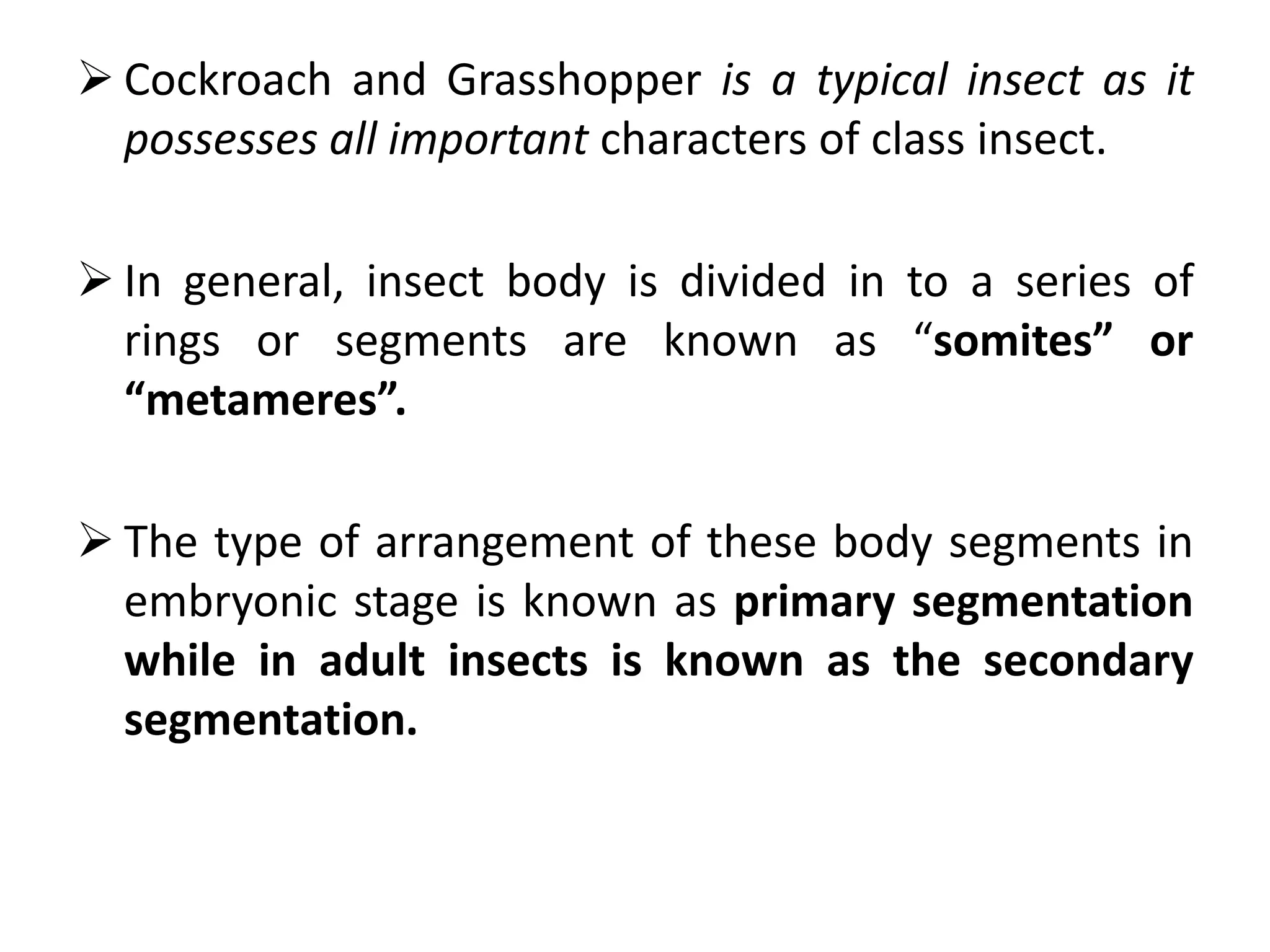 Body Segmentation of Insect and Head .pptx