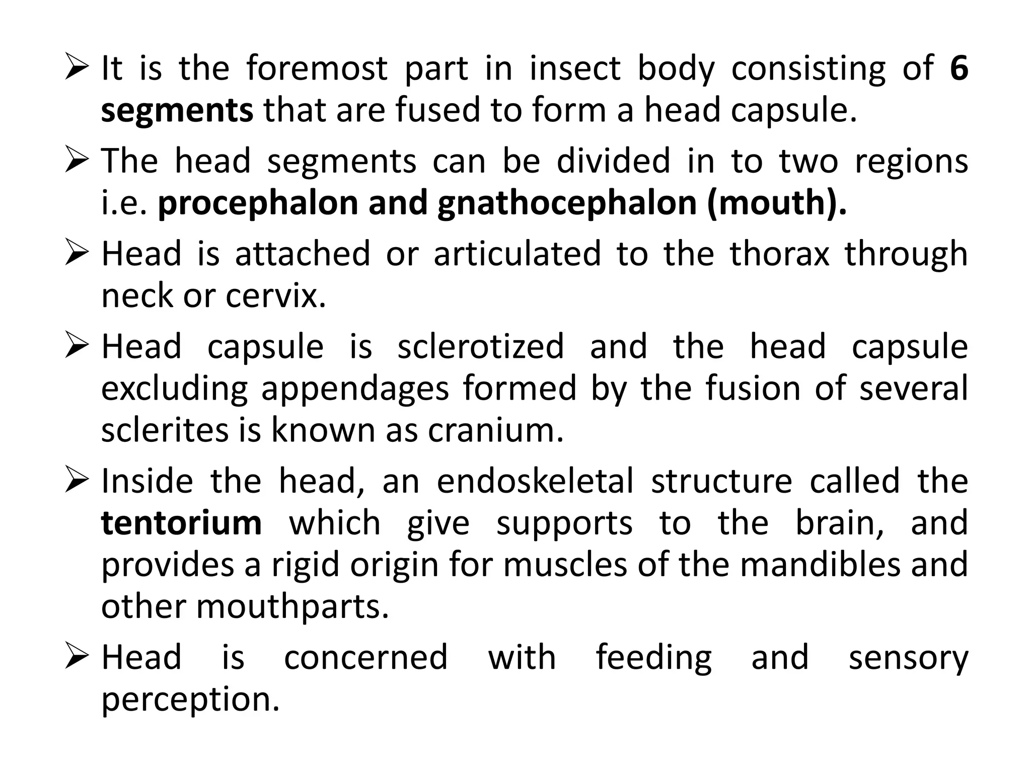 Body Segmentation of Insect and Head .pptx