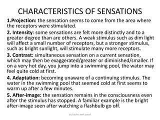 human body sense | PPT