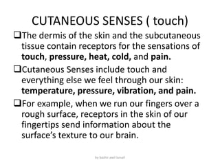 human body sense | PPT