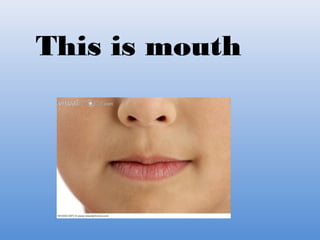 Body senses and systems | PPT