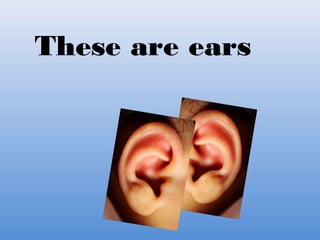 Body senses and systems | PPT