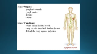 BODY STRUCTURES ON HUMAN ANATOMY AND PHYSIOLOGY.pptx