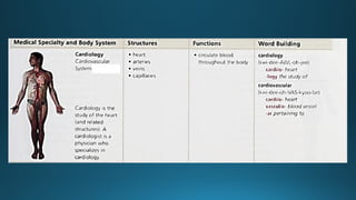 BODY STRUCTURES ON HUMAN ANATOMY AND PHYSIOLOGY.pptx