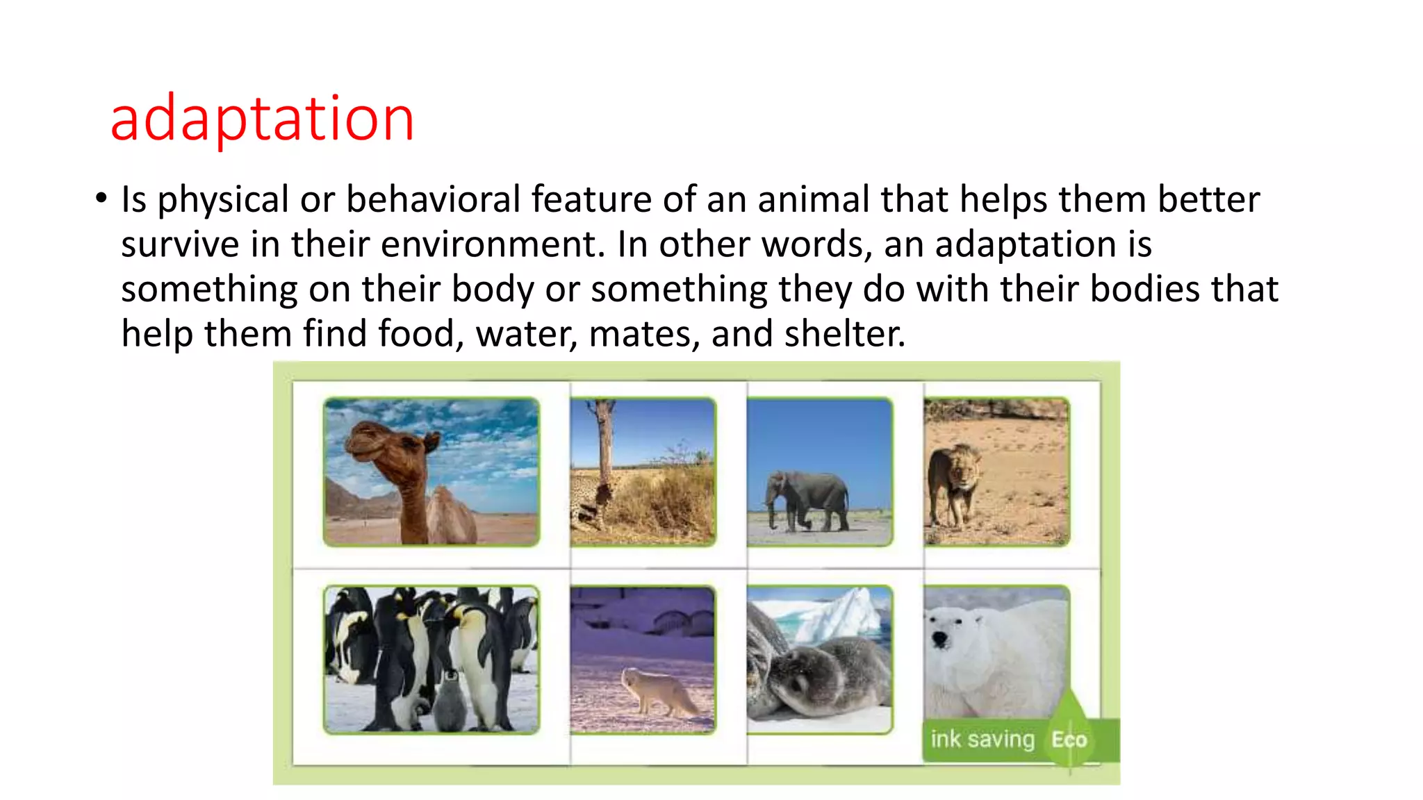 Body Structures of Animals SCIENCE4.pptx