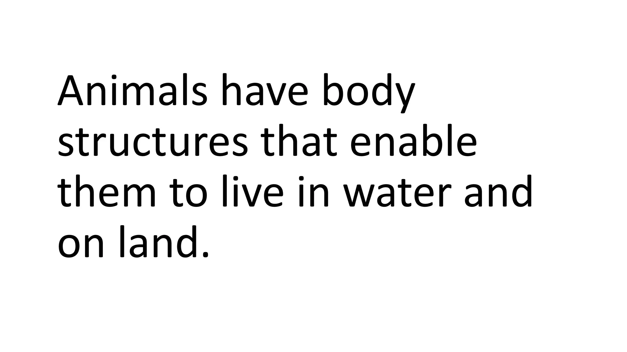 Body Structures of Animals SCIENCE4.pptx