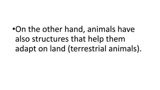 Body Structures of Animals SCIENCE4.pptx