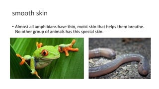 Body Structures of Animals SCIENCE4.pptx