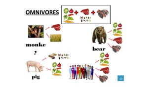 Body Structures of Animals SCIENCE4.pptx