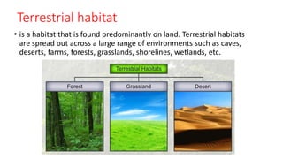 Body Structures of Animals SCIENCE4.pptx