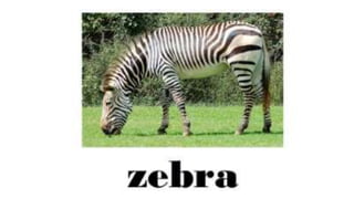 Body Structures of Animals SCIENCE4.pptx