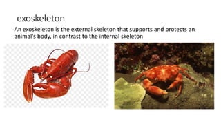 Body Structures of Animals SCIENCE4.pptx