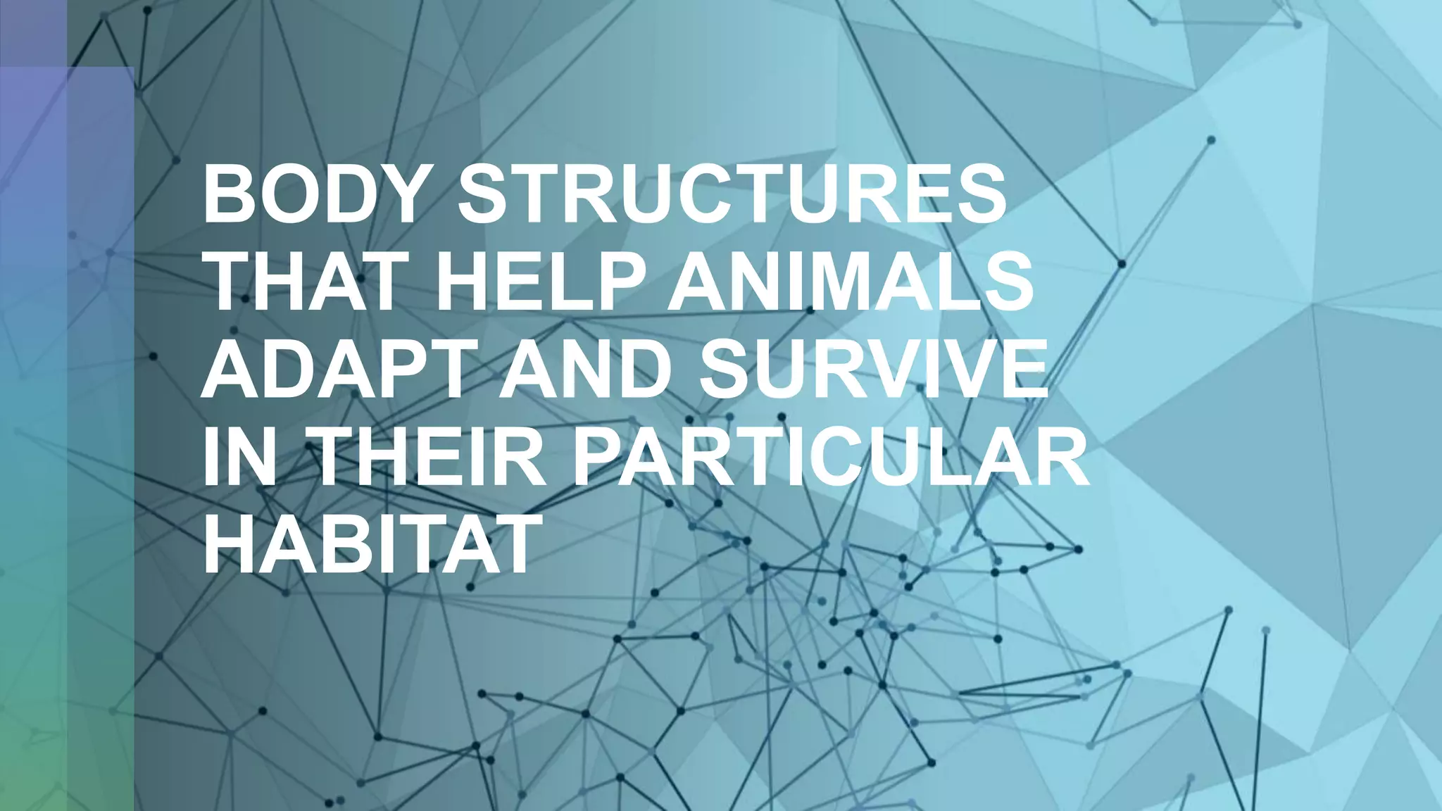 BODY STRUCTURES THAT HELP ANIMALS ADAPT AND SURVIVE .pptx
