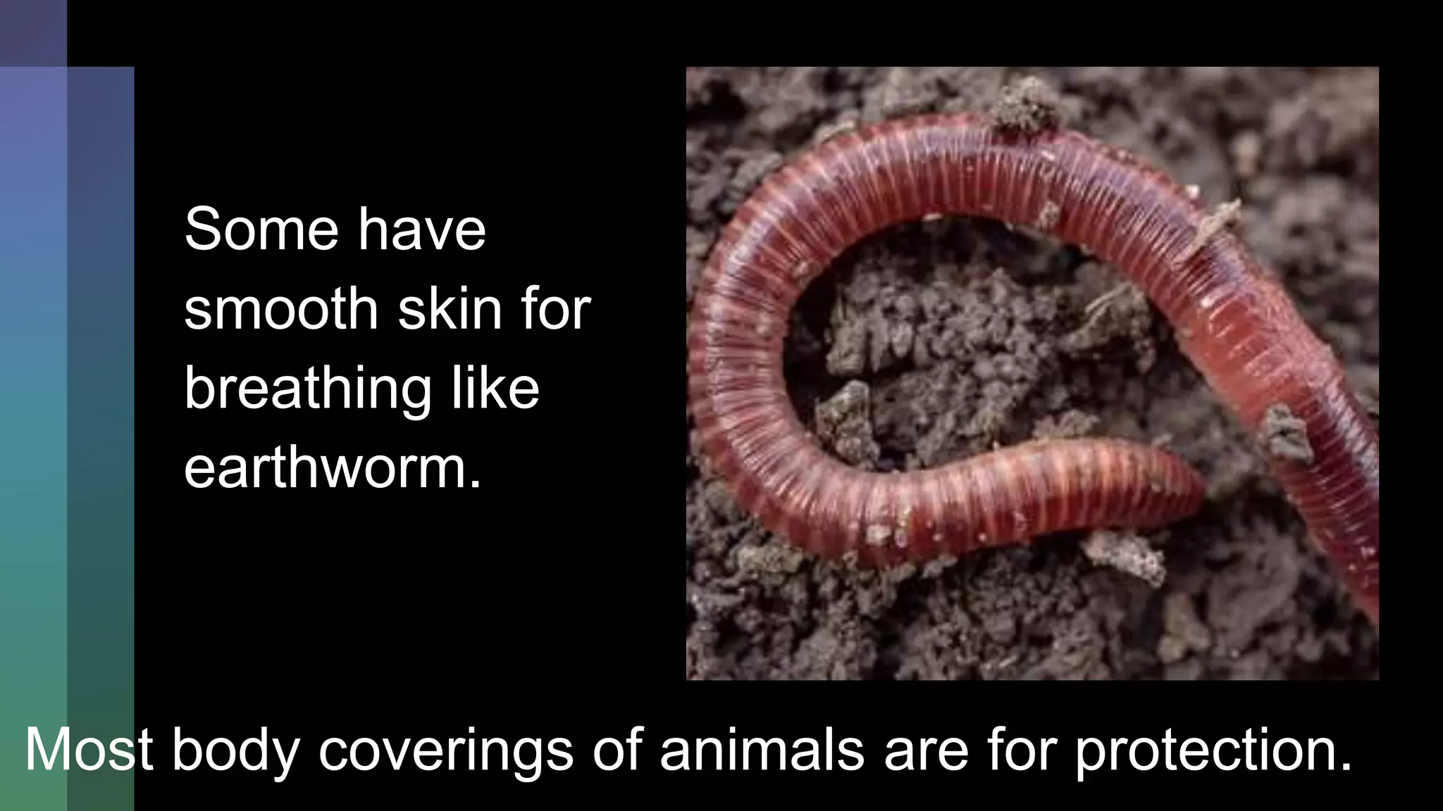 BODY STRUCTURES THAT HELP ANIMALS ADAPT AND SURVIVE .pptx