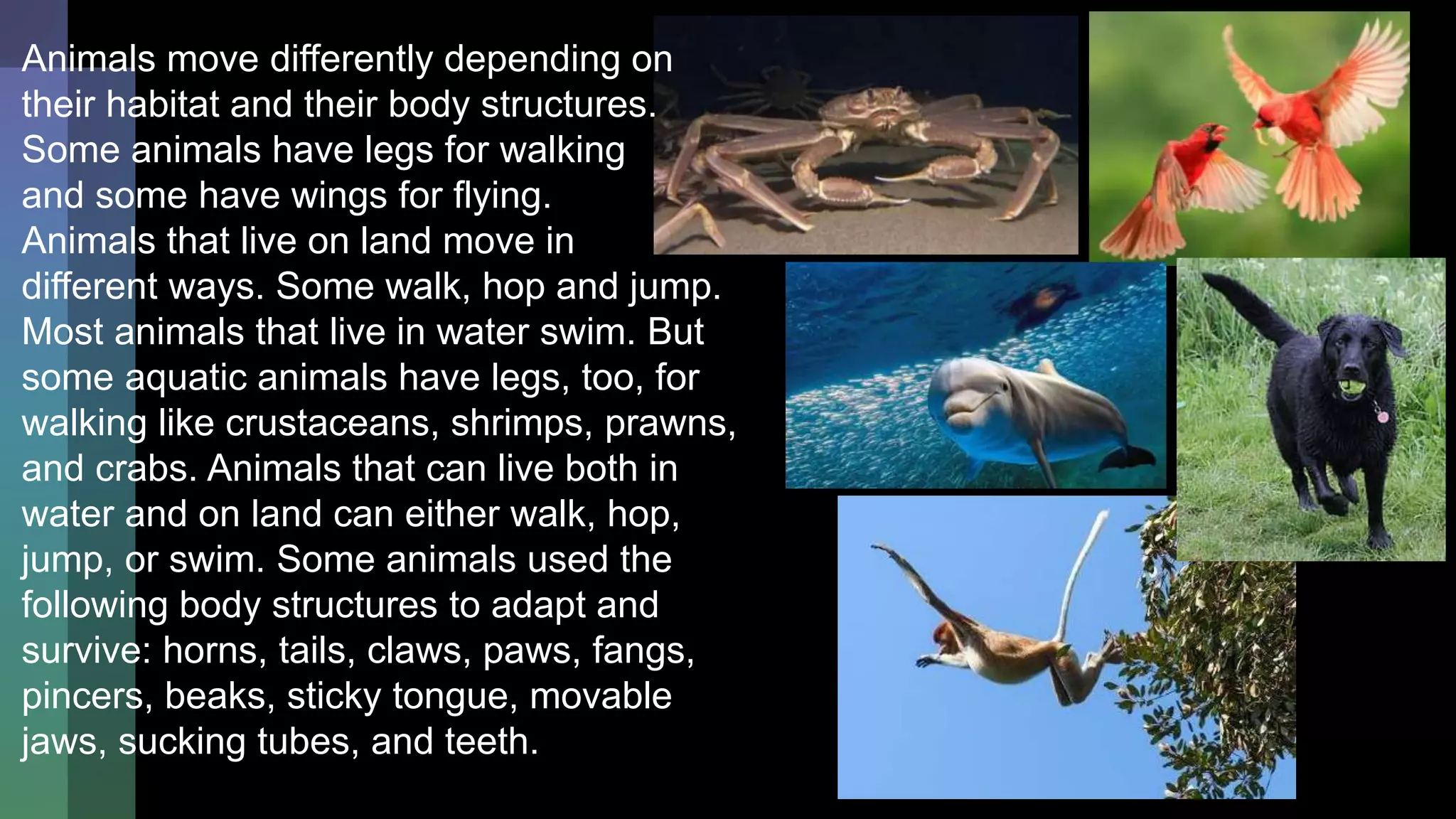 BODY STRUCTURES THAT HELP ANIMALS ADAPT AND SURVIVE .pptx