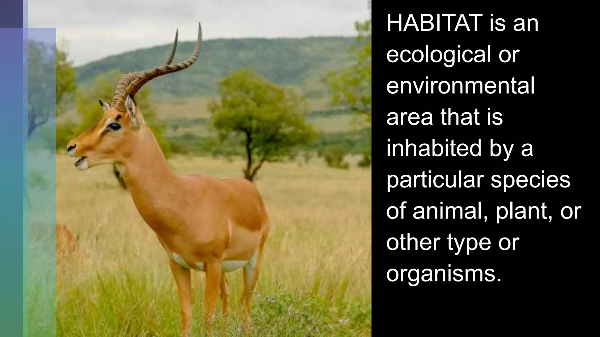 BODY STRUCTURES THAT HELP ANIMALS ADAPT AND SURVIVE .pptx