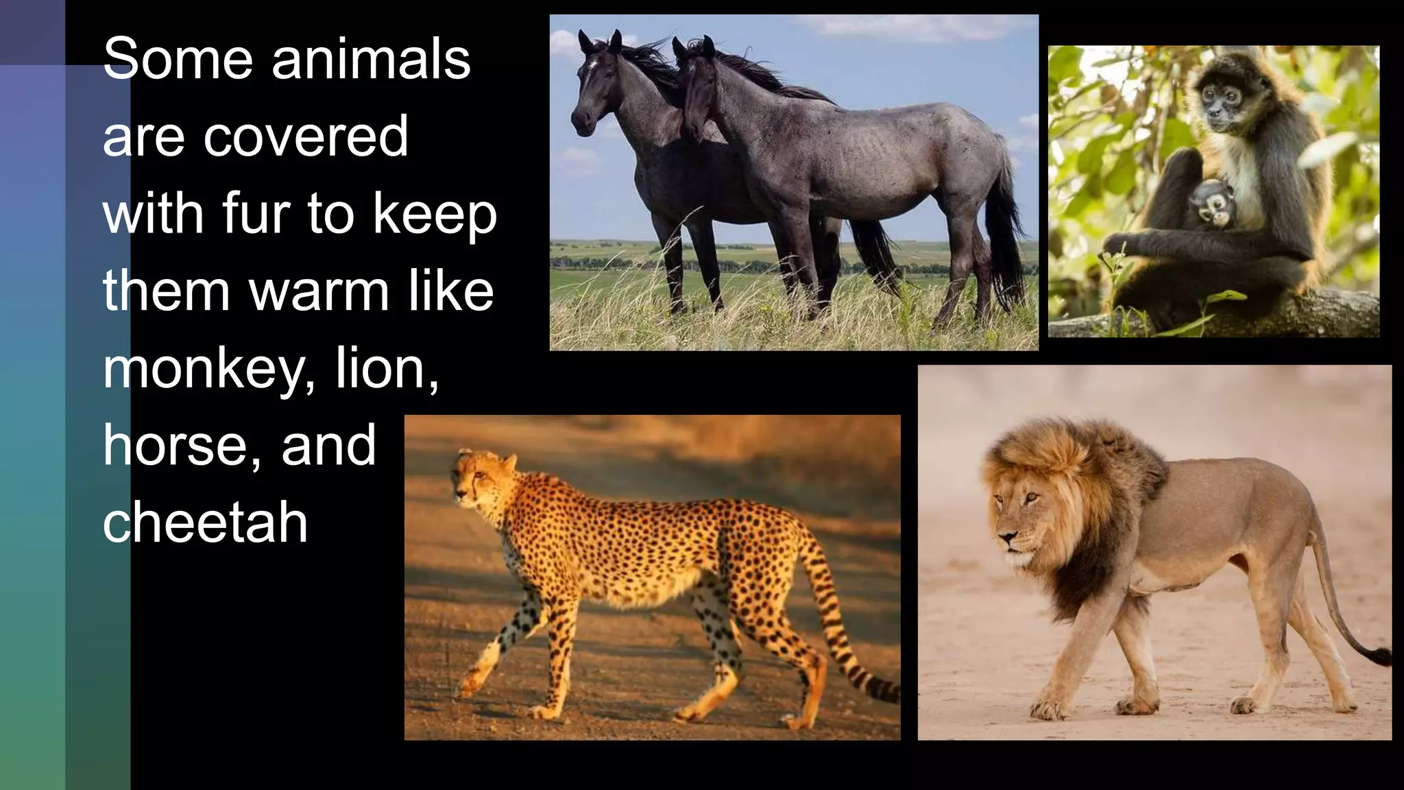 BODY STRUCTURES THAT HELP ANIMALS ADAPT AND SURVIVE .pptx