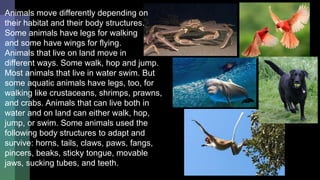 BODY STRUCTURES THAT HELP ANIMALS ADAPT AND SURVIVE .pptx
