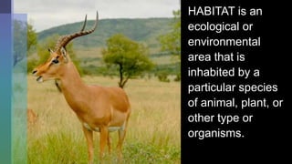 BODY STRUCTURES THAT HELP ANIMALS ADAPT AND SURVIVE .pptx