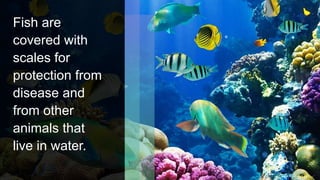 BODY STRUCTURES THAT HELP ANIMALS ADAPT AND SURVIVE .pptx