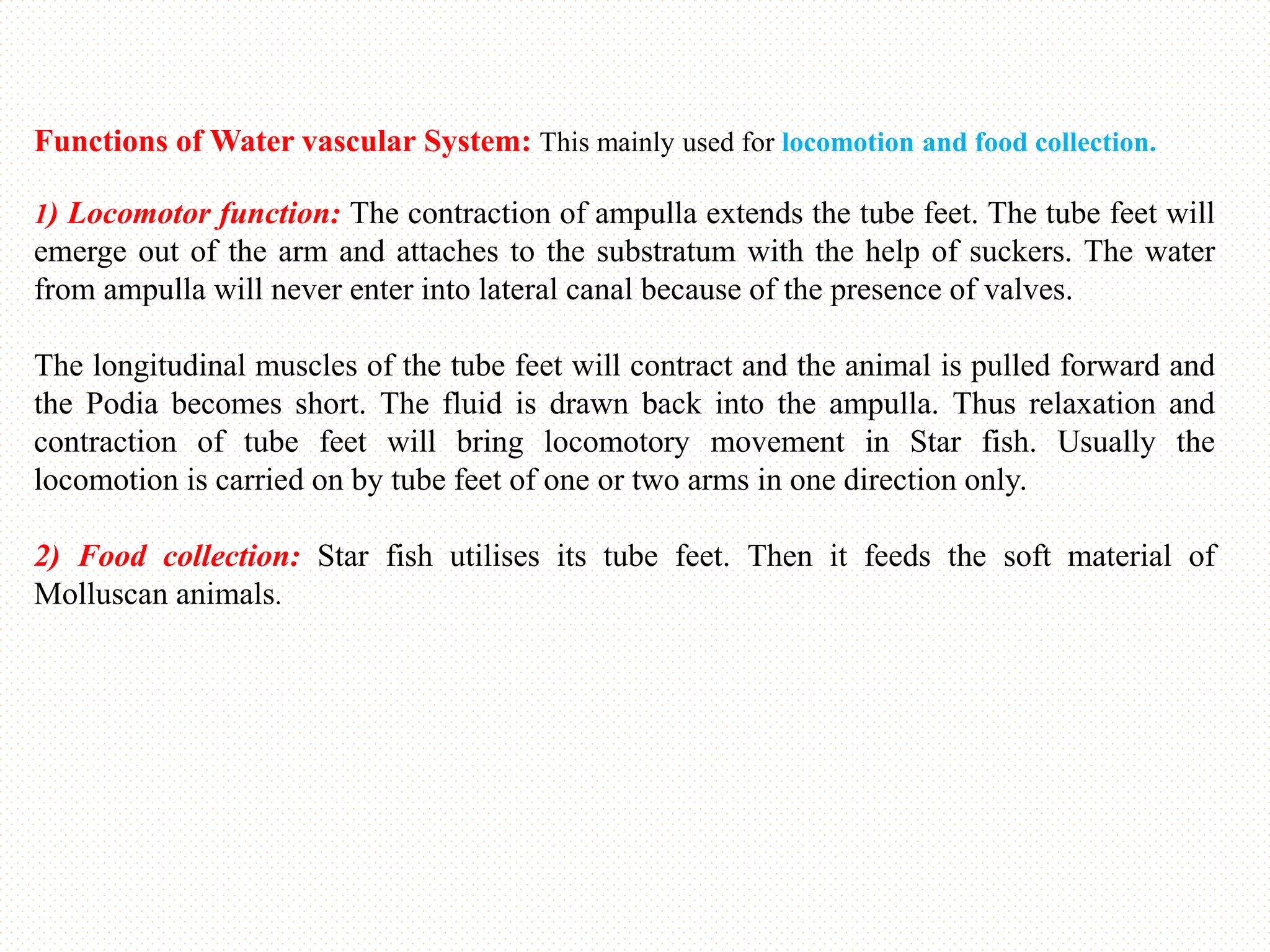 External part of Body (oral & ab oral Surface) , Pedicellaria & water ...