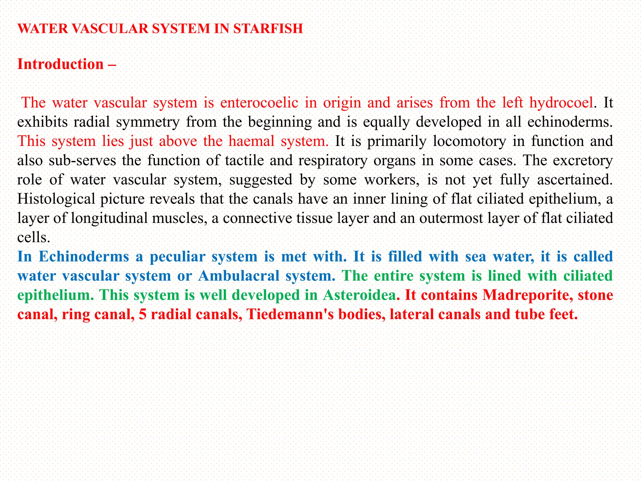 External part of Body (oral & ab oral Surface) , Pedicellaria & water ...