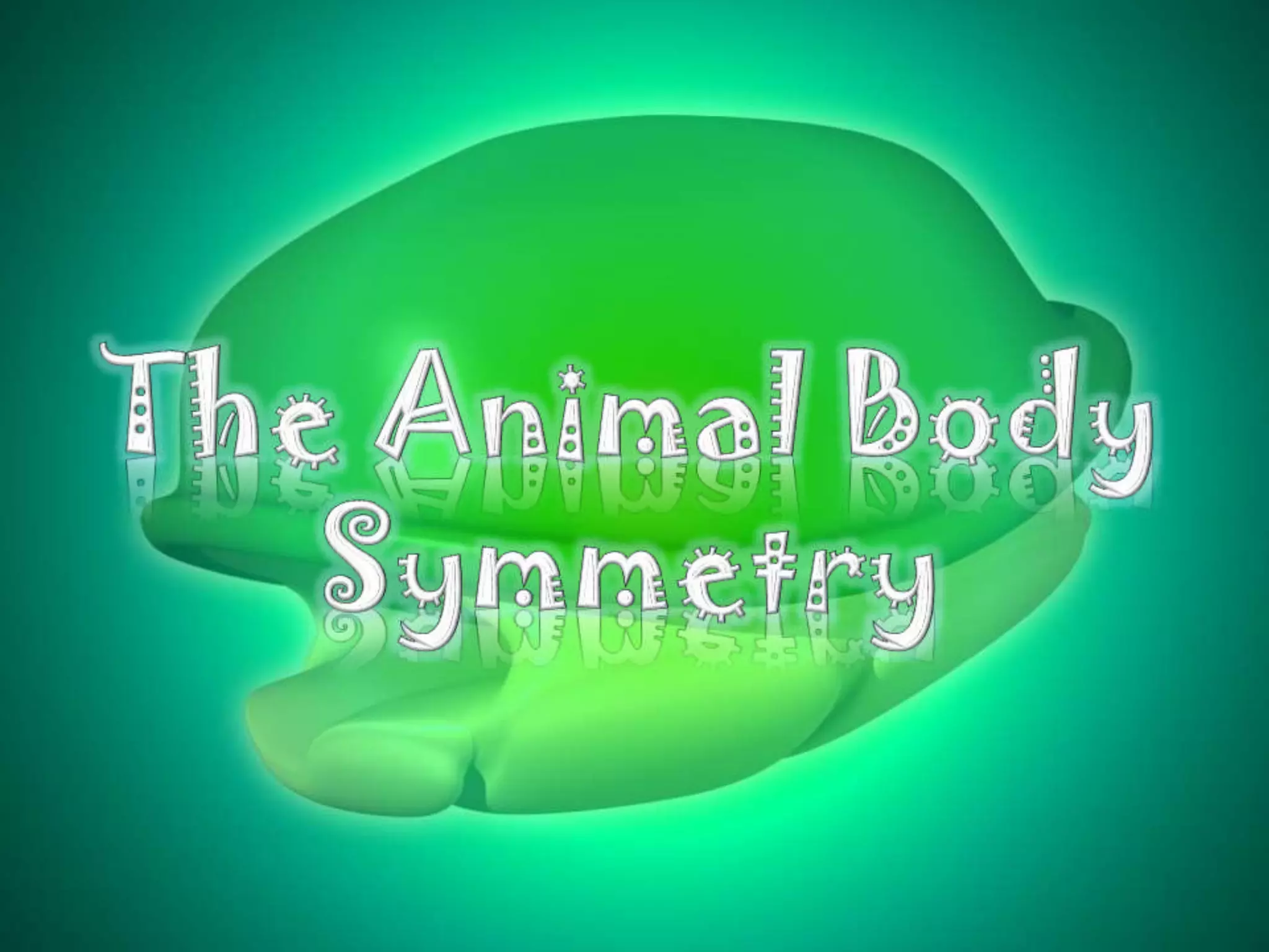 Body symmetry | PPTX