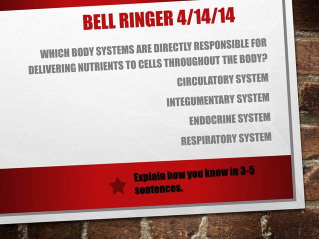 Body System Review | PPTX | Lung and Respiratory Health | Diseases and ...