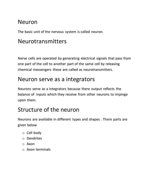 introduction to neuron | DOCX
