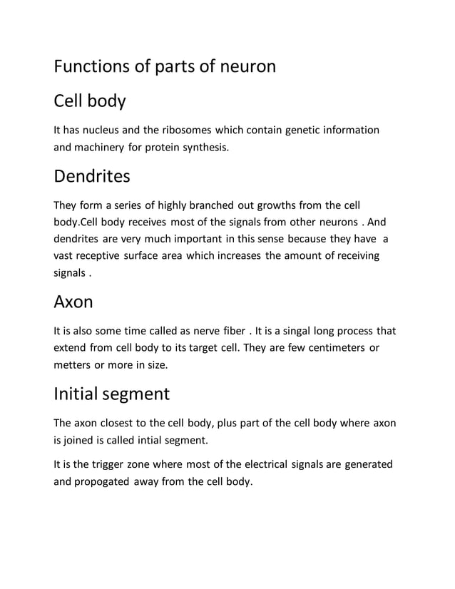 introduction to neuron | DOCX