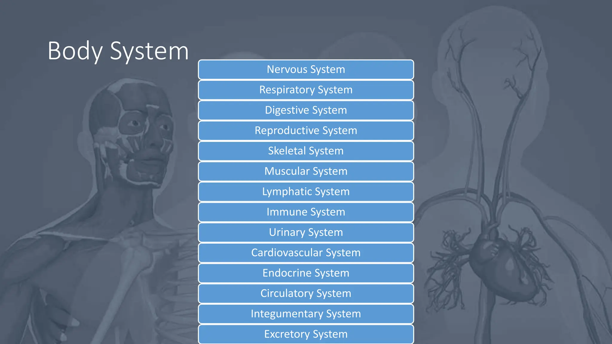 All Systems in our Body ( Science Biology).pptx