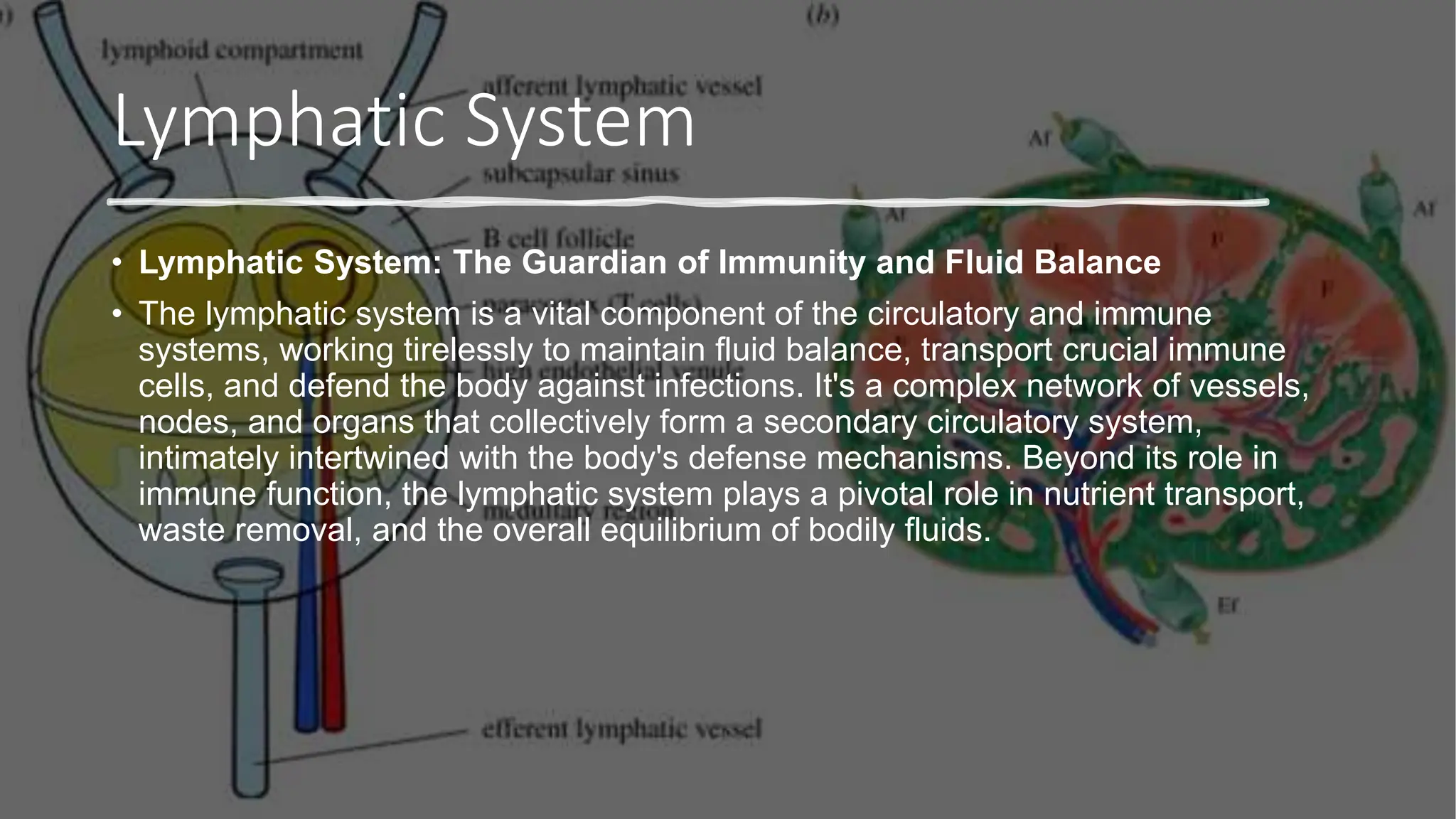 All Systems in our Body ( Science Biology).pptx