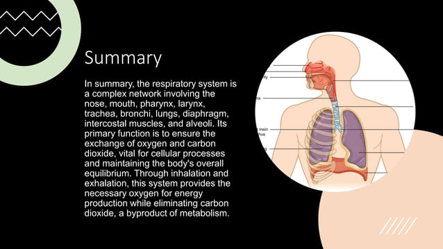 All Systems in our Body ( Science Biology).pptx