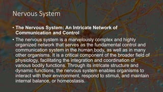 All Systems in our Body ( Science Biology).pptx
