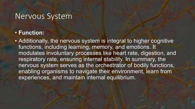 All Systems in our Body ( Science Biology).pptx