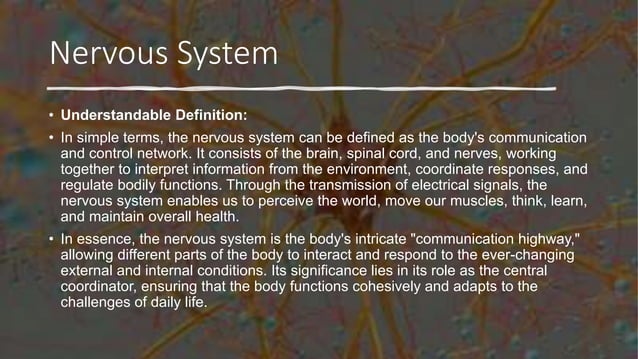 All Systems in our Body ( Science Biology).pptx