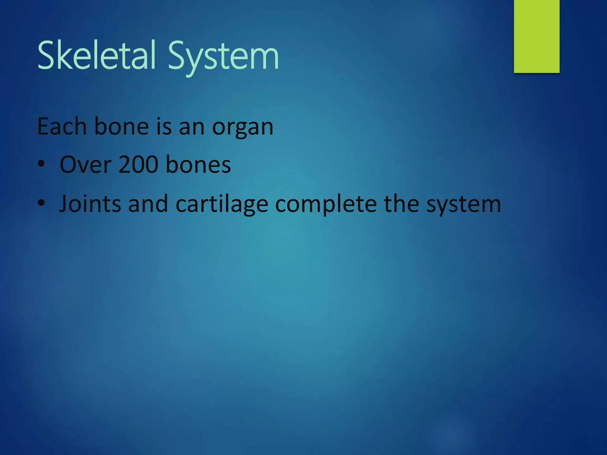 Body system presentation | PPT