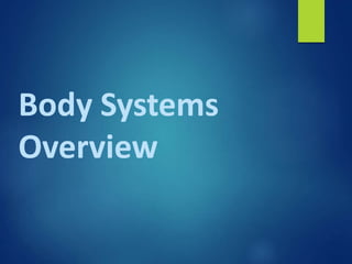 Body system presentation | PPT
