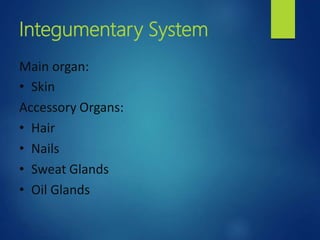 Body system presentation | PPT