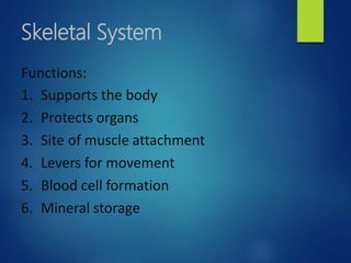 Body system presentation | PPT