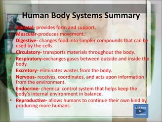 Bodysystemreveiw.presentation.presentation | PPT