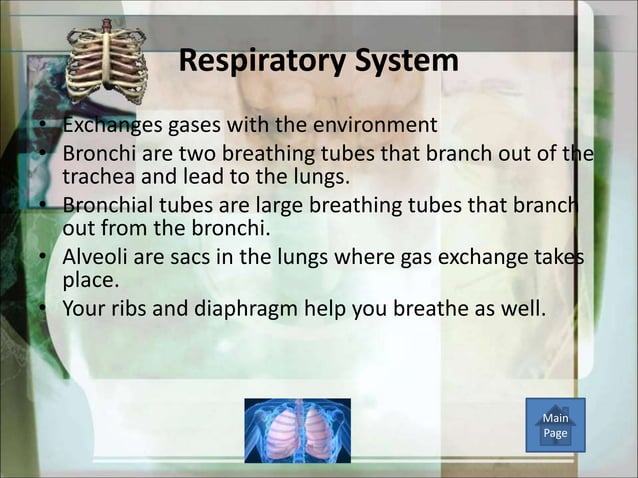 Bodysystemreveiw.presentation.presentation | PPT